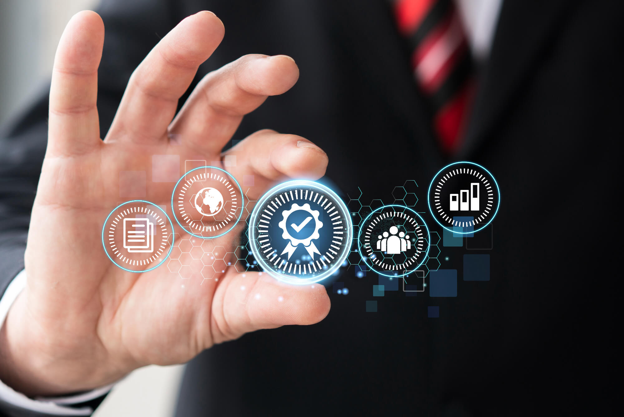 Enterprise Application Assurance Services